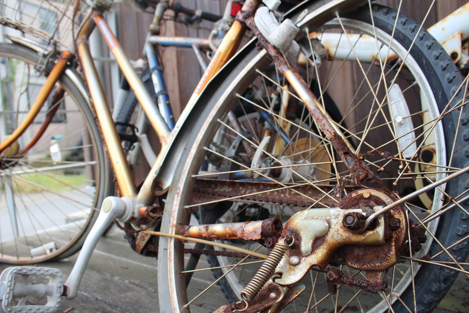 #1 Bicycle Junk Removal Service in Palm Beach County, FL