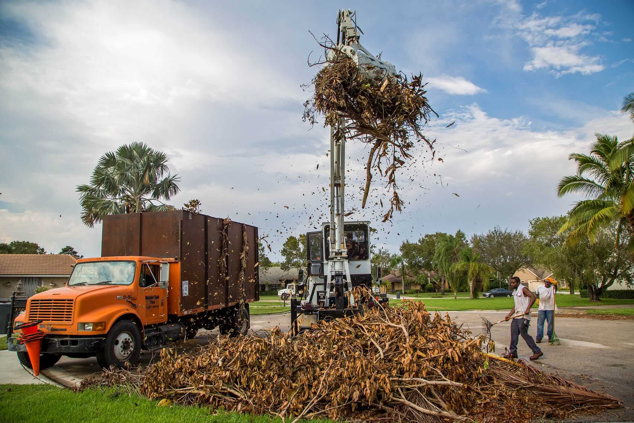 Top Junk Removal & Trash Hauling Company in Juno Beach, FL